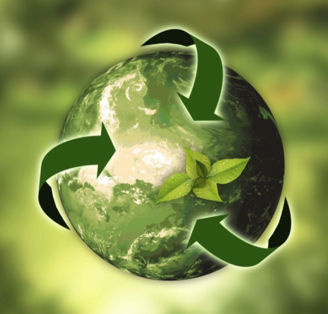 Circular Learning Hub organises public workshop | European Circular ...